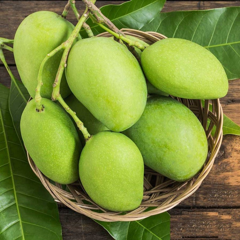 ARKA MANGO SPECIAL- MICRONUTRIENT | SPIISRY
