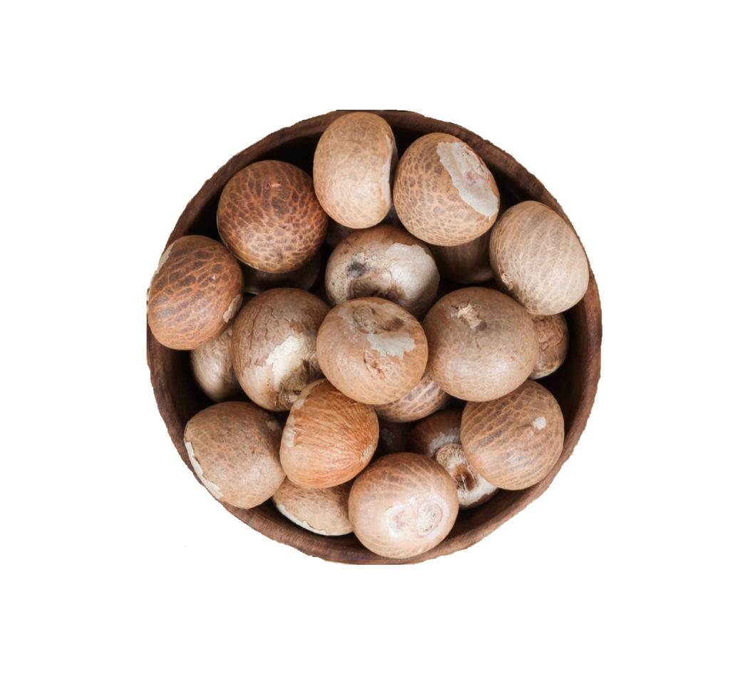 ARECANUT SPECIAL MICRONUTRIENT | SPIISRY