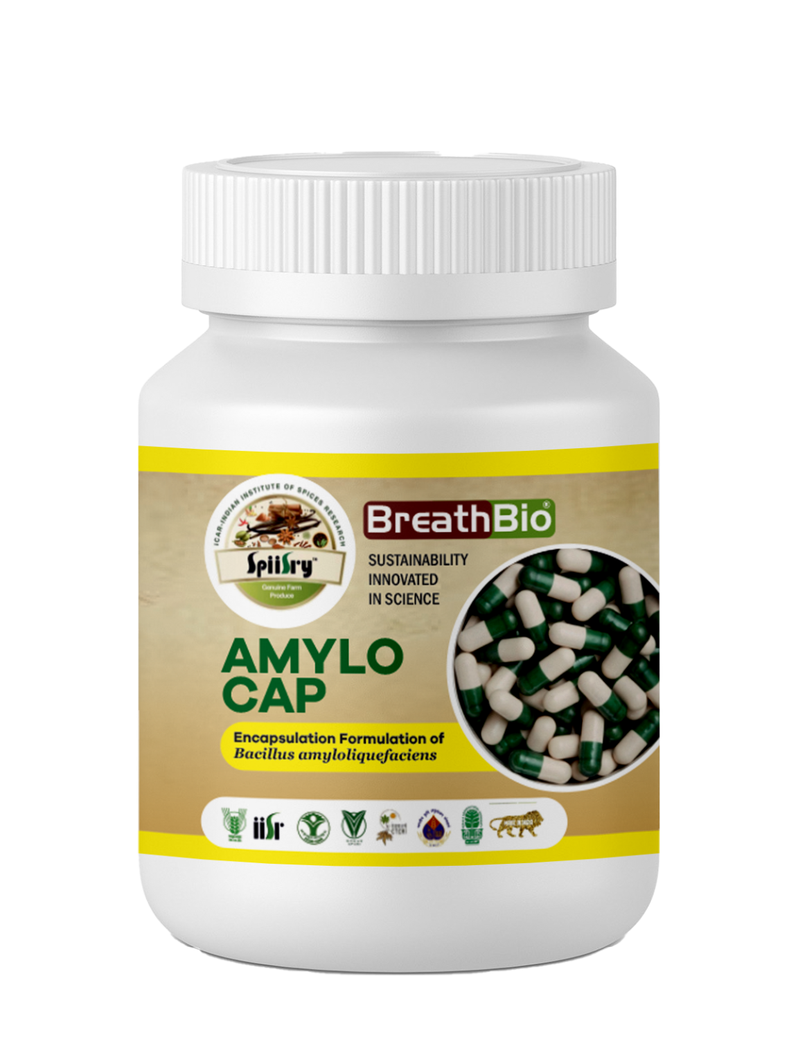 AMYLO CAP (GRB 35)- BIO CAPSULE | SPIISRY